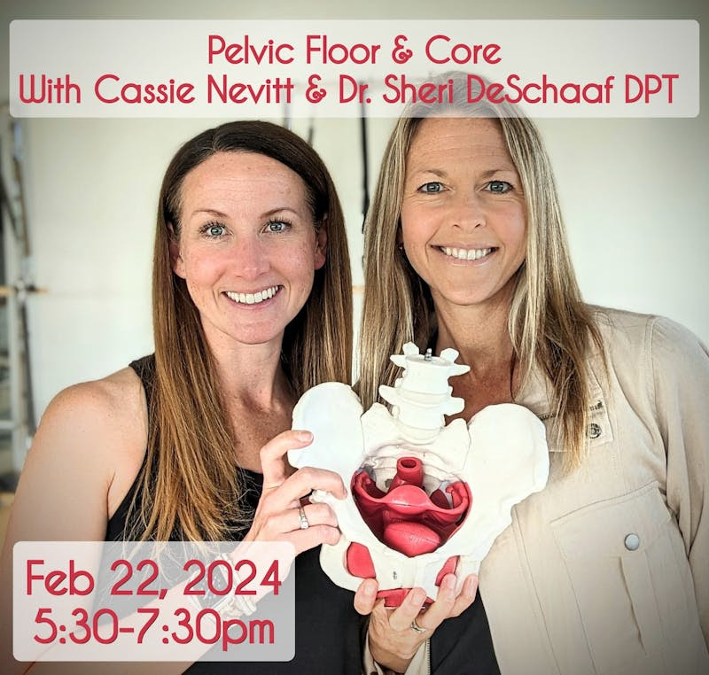 Upcoming Pelvic Floor & Core Workshop – SHEFit Physical Therapy